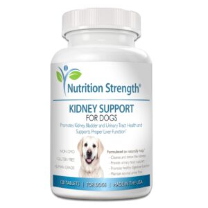 nutrition strength kidney support for dogs - renal, bladder and urinary tract health supplement, plus immune and digestive support, with organic cranberry and astragalus, 120 chewable tablets