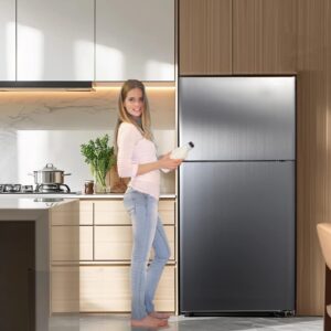 Refrigerator with Freezer, Top Freezer Refrigerators, 18 Cu ft Full Size Kitchen Refrigerator, 2 Door Apartment Size Stainless Steel Fridge, Frost Free 5 Adjustable Thermostat, Home, Office, Silver