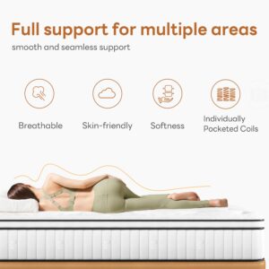 Twin Mattress,10 inch Hybrid Mattress Twin Size,Medium Firm Mattress with Memory Foam and Pocket Springs,Breathable Cover 10 inch Twin Bed in a Box,38"X75"X10"