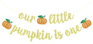 our little pumpkin is one banner, little pumpkin 1st birthday decorations, fall first birthday banner, fall pumpkin baby shower birthday party decorations, gold glitter