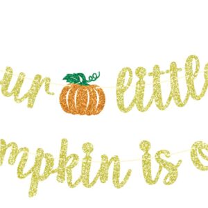 Our Little Pumpkin is One Banner, Little Pumpkin 1st Birthday Decorations, Fall First Birthday Banner, Fall Pumpkin Baby Shower Birthday Party Decorations, Gold Glitter