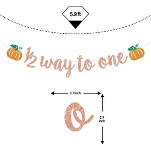 Pumpkin 1/2 Way to One Banner, Fall Half Birthday Decorations Girl, Happy 6 Months, Little Pumpkin Baby Shower Birthday Party Decorations, Rose Gold Glitter