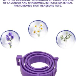 Calming Collar for Cats, 4 Pack (120 Days) with Fast-Acting Pheromones for Anxiety and Stress Relief, Provides Long-Lasting Comfort, Keeps Your Cat Calm and Relaxed, Lavender Aromatherapy