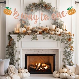 Pumpkin 1/2 Way to One Banner, Fall Half Birthday Decorations Girl, Happy 6 Months, Little Pumpkin Baby Shower Birthday Party Decorations, Rose Gold Glitter