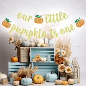 Our Little Pumpkin is One Banner, Little Pumpkin 1st Birthday Decorations, Fall First Birthday Banner, Fall Pumpkin Baby Shower Birthday Party Decorations, Gold Glitter