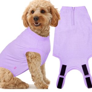 Wabdhaly Dog Surgery Recovery Suit for Small Female Spay,Anti Licking Dog Surgical Recovery Onesie,Fashion Striped Purple XSmall