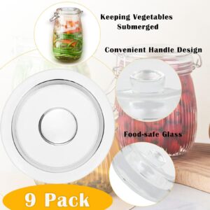 Nexboraque 9 Pack Glass Fermentation Weight, Easy Grip Fermenting Weights Canning Weights and Pickling Glass Weight for Wide Mouth Mason Jar, Clear