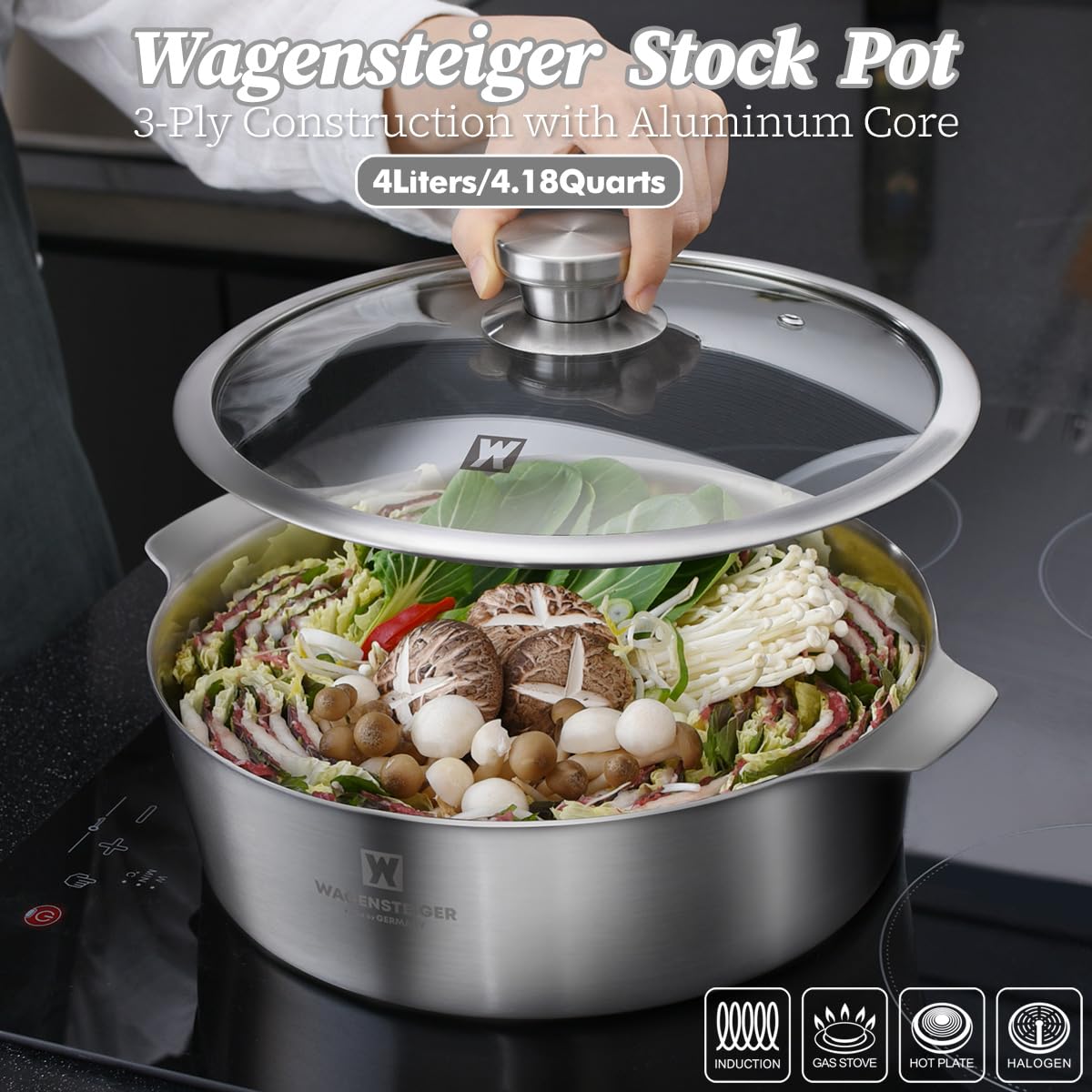 WAGENSTEIGER 4.18Quarts Stainless Steel Sauté pan Casserole Pot with Tempered Glass Lid, Stock Pot, 3-Ply Construction with Aluminum Core, Stylish Design, Brushed Finish