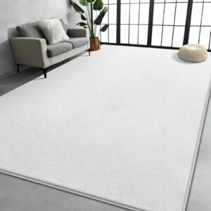 large area rugs for living room bedroom, 4x6 feet white rug, minimalist modern shag rug, soft thick comfy memory foam indoor carpet, non-slip washable rug for boys girls dorm nursery room home decor