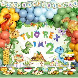 Fiesec Two Rex Birthday Decorations Boy, Dinosaur Party Decorations 2 Year Old Boy, 2nd Birthday Decorations For Boys, Backdrop Banner Balloon Cake Cupcake Topper Boxes Cutout Poster 138 PCs