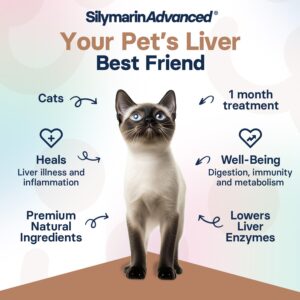 SilymarinAdvanced Liver Health Supplement for Cats - Milk Thistle for Cats Liver Support with S-Adenosylmethionine (Same) & Silybin - Liver Detox for Cats - 30 Tablets