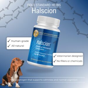 Halscion Cognitive Support and Stress Relief for Dogs by Gold Standard Herbs, All Natural Rehmannia Combination, 85 gram Powder, White