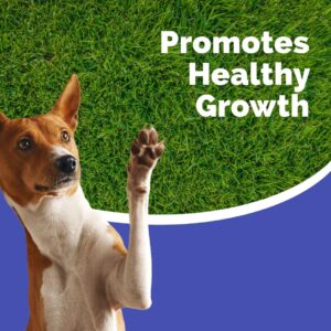 PETAVIT for Dogs and Cats