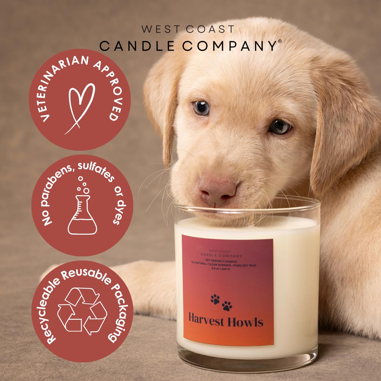 Pet Friendly Wax Melts | Pet Safe Wax Melts | All Natural Dog Safe Wax Melts | Non-Toxic Wax Melts | Pet Odor Eliminator | Pure Soy Wax Melts | Veterinarian Approved (Pumpkin Pecan Waffles)