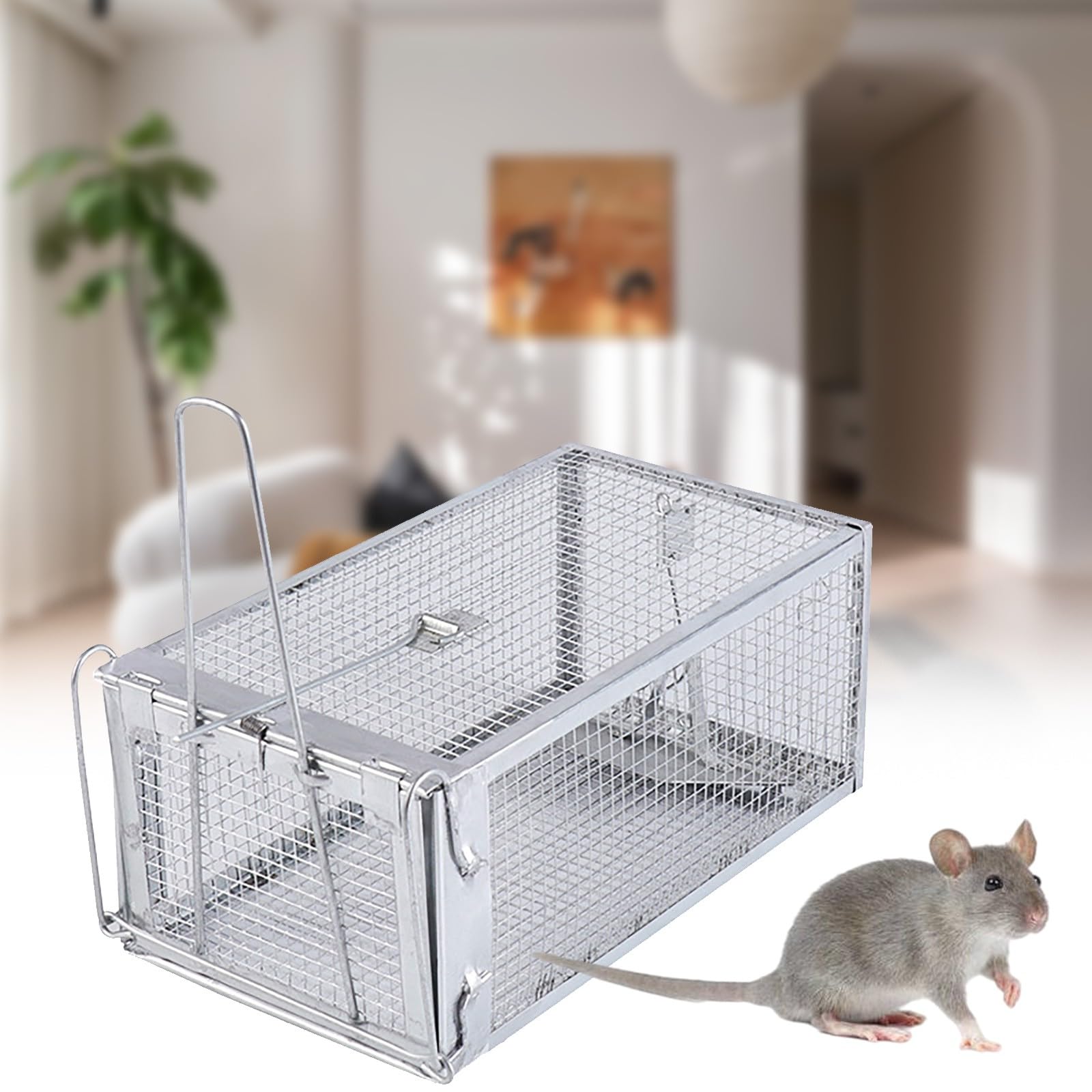 Generic Rat Trap, Mouse Traps, Chipmunk Trap, Live Rat Traps, Humane Mouse Chipmunk Cage Traps (Silver), LZ 072202