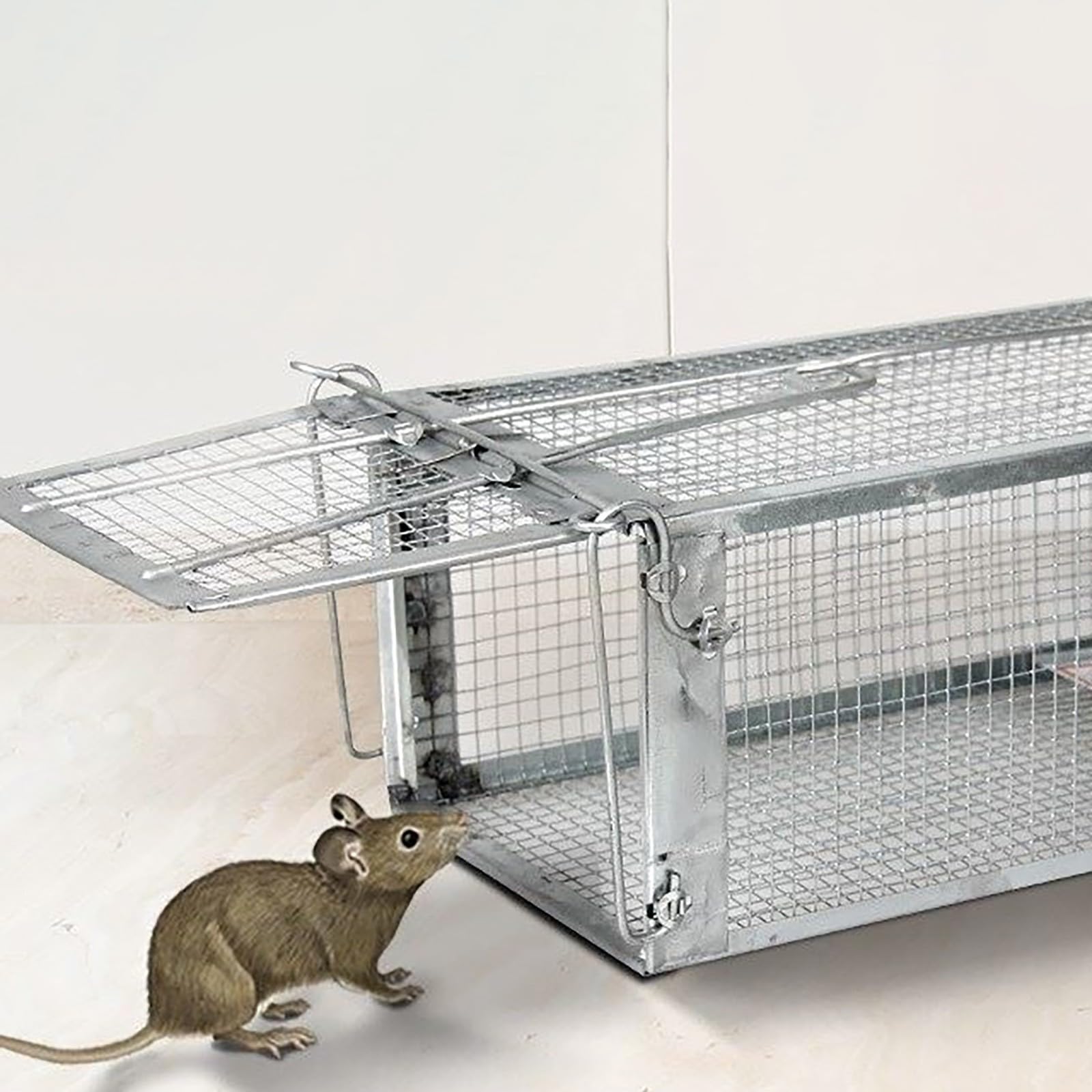 Generic Rat Trap, Mouse Traps, Chipmunk Trap, Live Rat Traps, Humane Mouse Chipmunk Cage Traps (Silver), LZ 072202