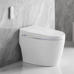 winzo luxury smart toilet with bidet built in, intelligent toilet with heated seat, elongated one piece toilet with auto flush, instant warm water & dryer, night light, white