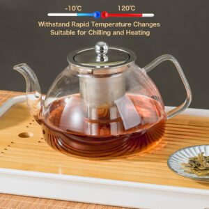 Wlasss Glass Teapot with Stainless Steel Removable Infuser (1200 ml/40 oz), Glass Tea Kettle Stovetop Safe for Blooming and Loose Leaf Tea