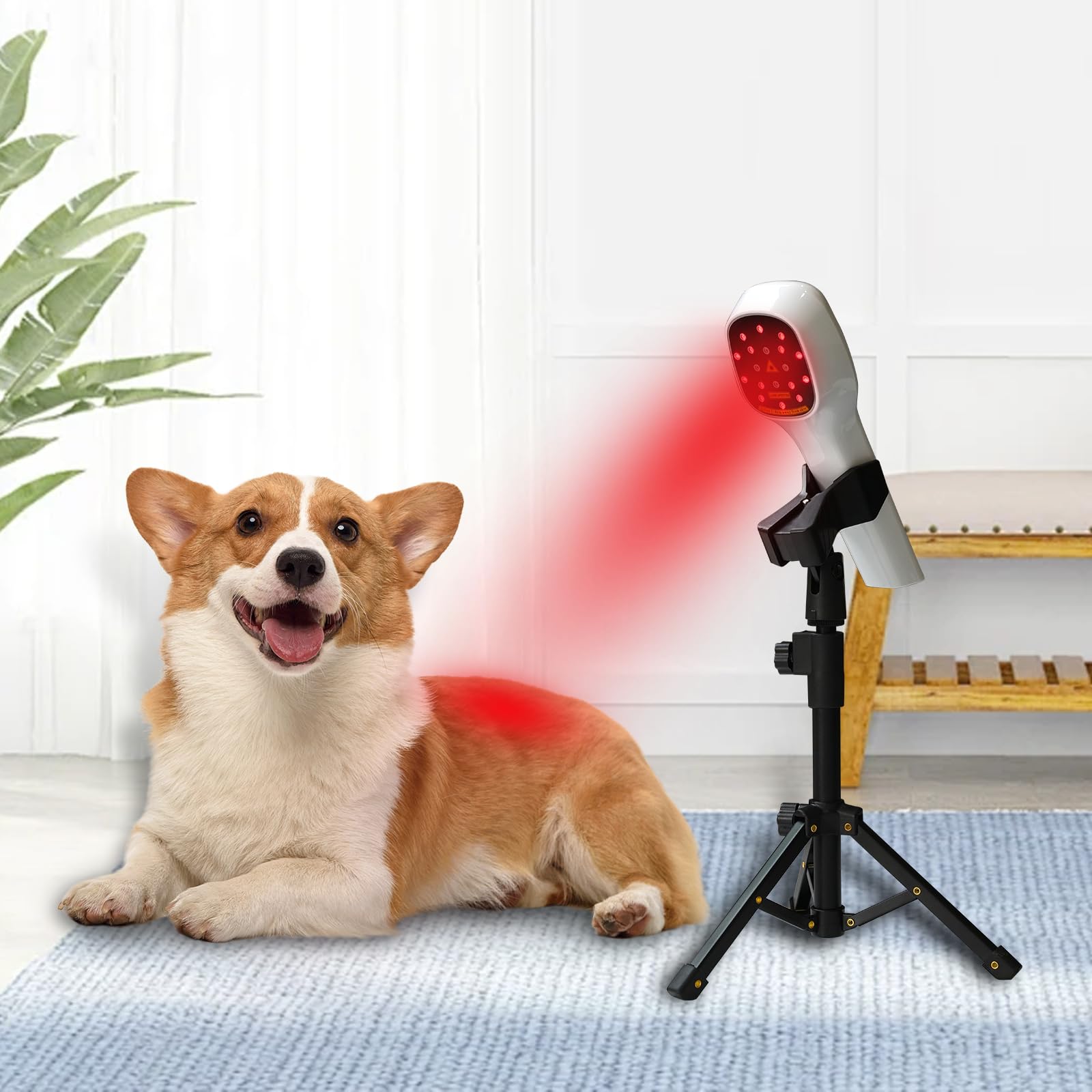 LASWHGDPET Cold Therapy for Dogs - Infrared Red Light Therapy Device with Adjustable Stand, 4X808 nm &14 x650nm Therapy Device for Pain Relief Arthritis, Spinal and Promote Blood Circulation