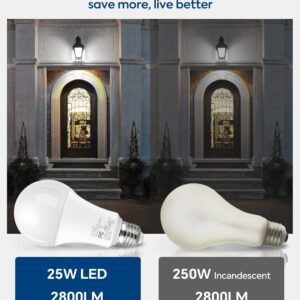 Nouscan 200W Equivalent LED Light Bulb, 2800LM Super Bright A21 LED Bulb, Daylight 5000K, 25W Energy Saving, E26 Medium Base, 120V for Garage, Warehouse, Shop, Living Room, Non-Dimmable, 2 Pack