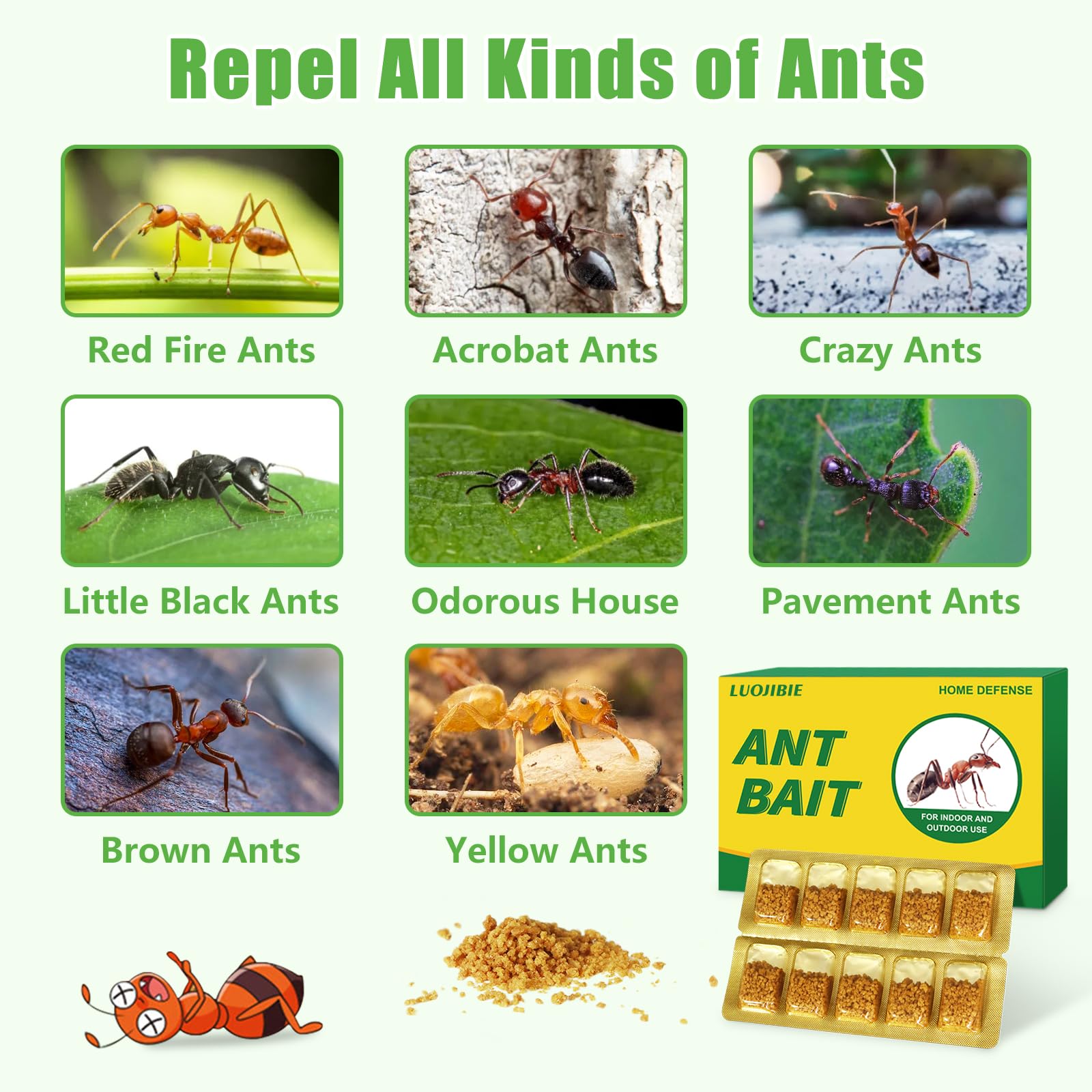 LUOJIBIE Ant Killer Bait for Household Use, Ant Traps, Strongly and Effectively Ant Control for Indoor&Outdoor-10 Count