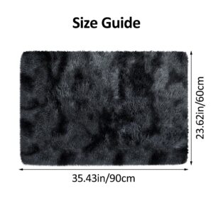 Fixseed Small Area Rug 2x3 Black Rugs for Bedroom Mini Rug for Living Room Soft Fluffy Rug Mat Bedside Throw Rug for Girls Bedroom Kawaii Room Kids Room Boys Teens Nursery Decor Non Slip Fuzzy Rug