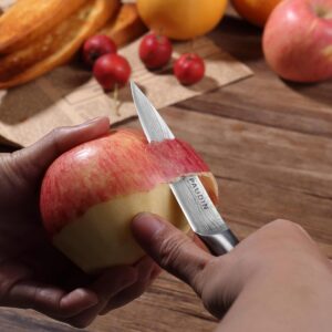 PAUDIN Boning Knife + Paring Knife