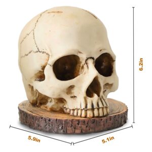 WALSIO Life Size Skull Knife Holder Resin Skull Shaped Knife Block for Kitchen Indoor Desk Decorations