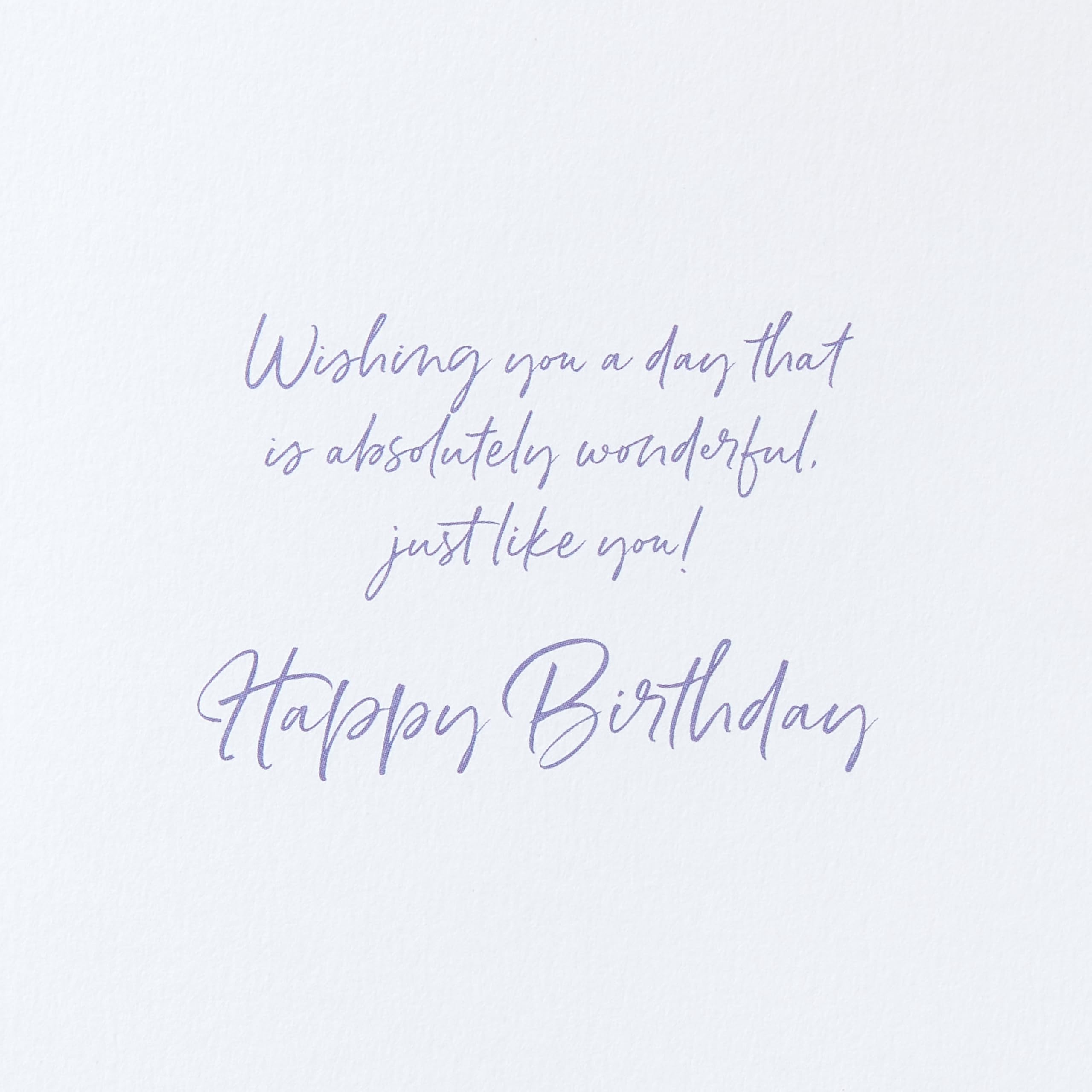 Papyrus Birthday Card (Absolutely Wonderful)