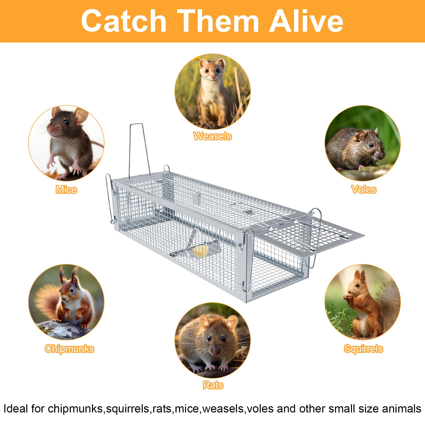 Humane Rat Trap, Large 2-Door Mouse Traps That Work for Indoor Home and Outdoor, Small Rodent Chipmunk Squirrel Trap and Other Live Animal Cage Catch and Release