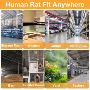 Humane Rat Trap, Large 2-Door Mouse Traps That Work for Indoor Home and Outdoor, Small Rodent Chipmunk Squirrel Trap and Other Live Animal Cage Catch and Release