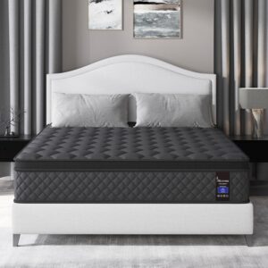 viscountess queen mattress, 12 inch hybrid mattress black, euro top mattress medium firm for back & lumbar support, 100 night trial, individual pocket spring bed for motion isolation & pressure relief