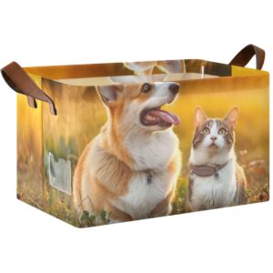 tsenque dog corgi cat field cute open fabric storage bin folding decorative organizer baskets animal floral shelf organizer bins for towels, books, clothes, toys, 16.9x11.4x10inch