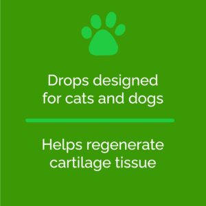 Arthritis & Join Pain Relief Dietary Supplement Small Dogs & Cats by Interfarma Corp | Cartilage Protection, Reduce Inflammation, & Joint Support | with Glucosamine, Chondroitin, Collagen, & MSM.