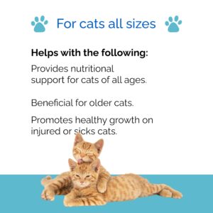 Multivitamin Cats Dietary Suplement by Interfarma | Heart, Digestion, Skin, Coat, & Joint Support Supplement for Cats | with Vitamins, Minerals, Aminoacids, Biotin, & Folic Acid | MULTICAT