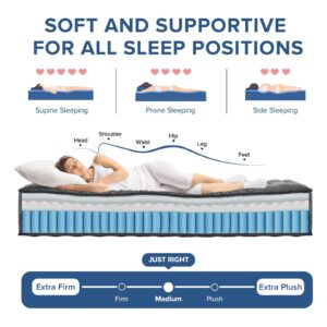 Twin-XL Mattress, 8 Inch Medium Firm Hybrid Mattress with Pocketed Springs, Breathable Convoluted Foam, Twin-XL Size Mattress in a Box, Pressure Relief and Support, Antistatic, CertiPUR-US Certified