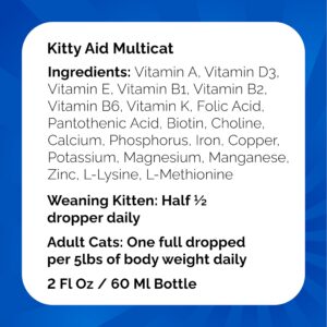 Multivitamin Cats Dietary Suplement by Interfarma | Heart, Digestion, Skin, Coat, & Joint Support Supplement for Cats | with Vitamins, Minerals, Aminoacids, Biotin, & Folic Acid | MULTICAT