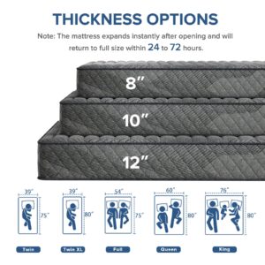 Twin Mattress, 8 Inch Medium Firm Hybrid Mattress with Pocketed Springs and Breathable Convoluted Foam, Twin Size Mattress in a Box with Pressure Relief and Support, Antistatic,CertiPUR-US Certified