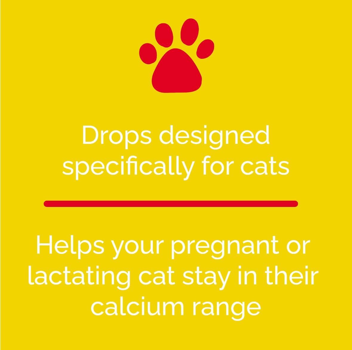 Calcicat D3 Dietary Supplement by Interfarma Corp | Healthy Bones in Cats, & Joint Support Supplement for Cats | with Calcio, Vitamin D3, & Magnesium sulfate | Orange Flavor, Pediatric Drop.