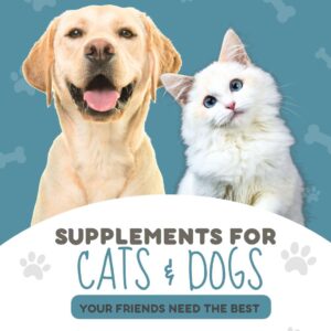 Calcicat D3 Dietary Supplement by Interfarma Corp | Healthy Bones in Cats, & Joint Support Supplement for Cats | with Calcio, Vitamin D3, & Magnesium sulfate | Orange Flavor, Pediatric Drop.