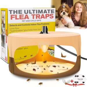 indoor sticky flea trap, flea trap with 2 glue discs odorless non-toxic natural flea killer trap pad bed bug trap light bulb pest control for home house inside, safe for children pet dog cat lb01