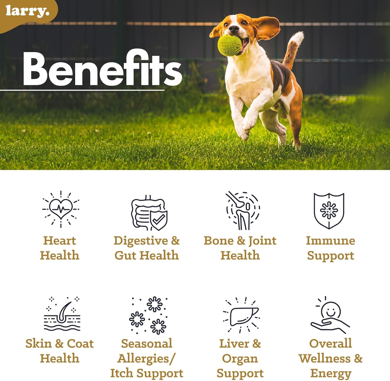 Larry 8-in-1 Multivitamin Dog for Small Dogs | Heart, Digestion, Liver, Skin, Coat, & Joint Support for Dogs | with Vitamins, Minerals, Omegas, & Glucosamine Chondroitin | 60 Soft Chews