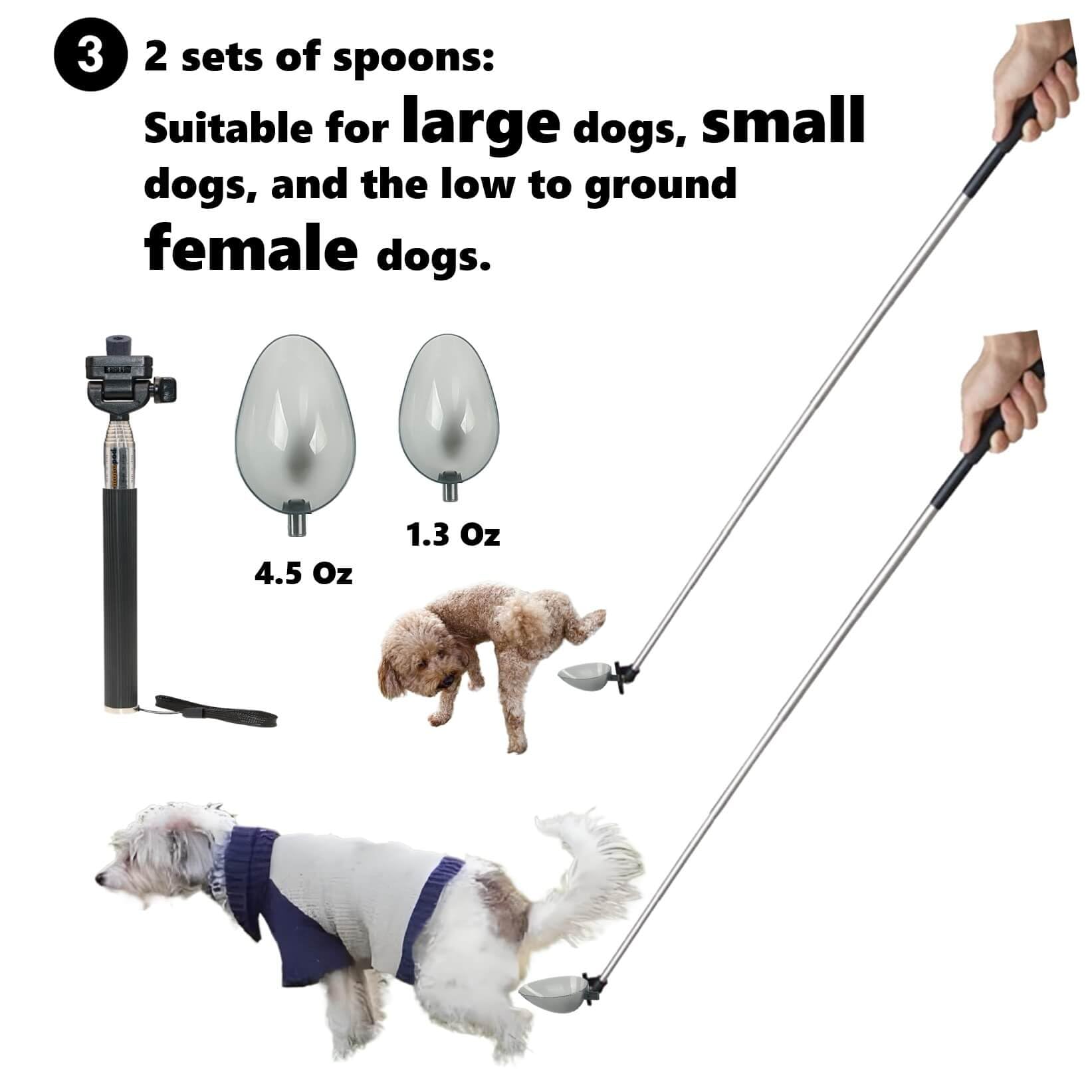 iNenya Dog Urine Sample Catcher，Telescopic Dog Pee Sample Collector，Pet Urine Stick for Small Large Female Dogs (Grayspoon&4bottles)