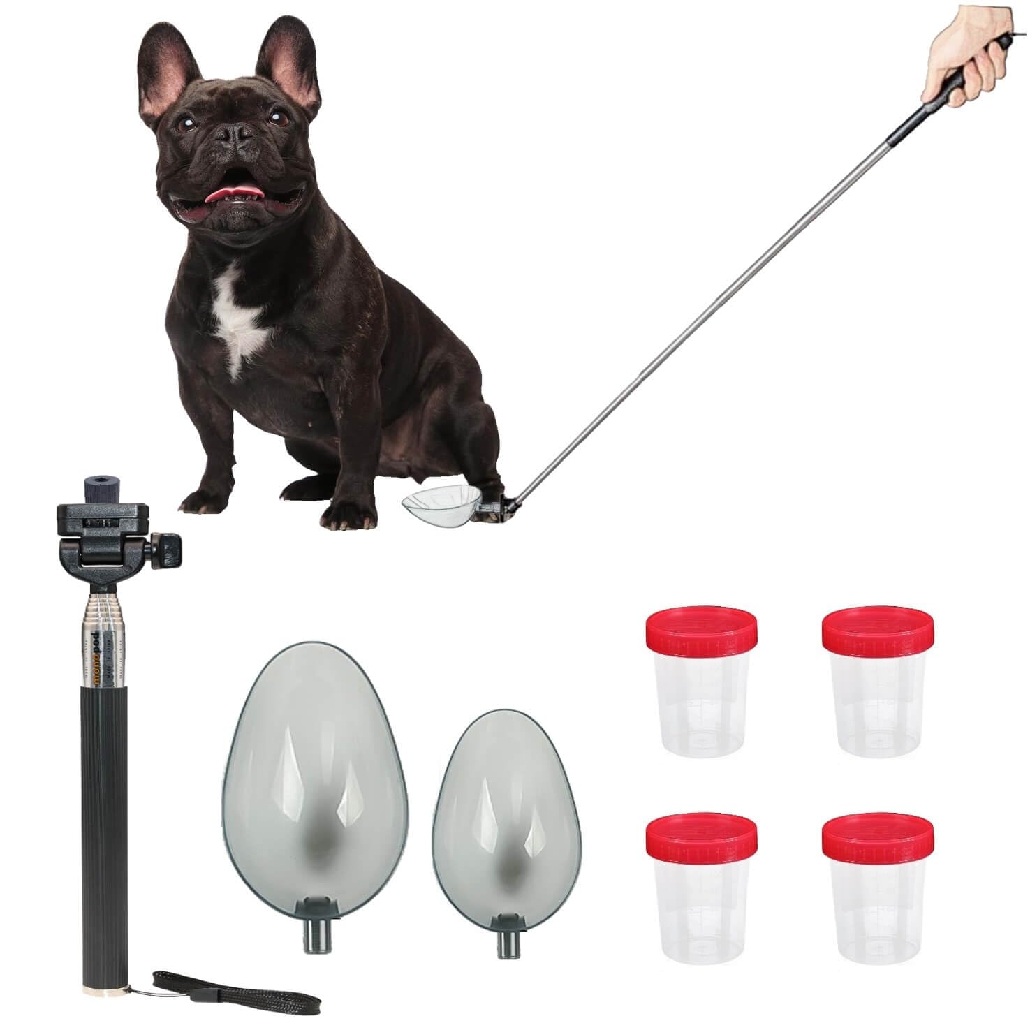 iNenya Dog Urine Sample Catcher，Telescopic Dog Pee Sample Collector，Pet Urine Stick for Small Large Female Dogs (Grayspoon&4bottles)