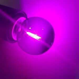 ZHZHLED Dark Purple Light Bulbs Plastic 1 Watt G40 LED Replacement Bulbs for Indoor Outdoor String Lights, Shatterproof Waterproof E12 Base Filament Edison Christmas Halloween Light Bulbs,15 Pack