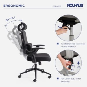 Nouhaus Ergo Fit Ergonomic Mesh Office Chair High Back Adjustable Lumbar Support Headrest and Adjustable Flip-up Armrests, Comfy Desk Chairs Swivel Computer Gaming Chair Tilt Function(N20, Black)