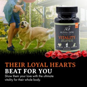 Krill Oil for Dogs - Vitality by Alpha Dog Nutrition – Reduces Dog Allergies, Itchiness, & Shedding – Promotes Healthy Skin and Coat