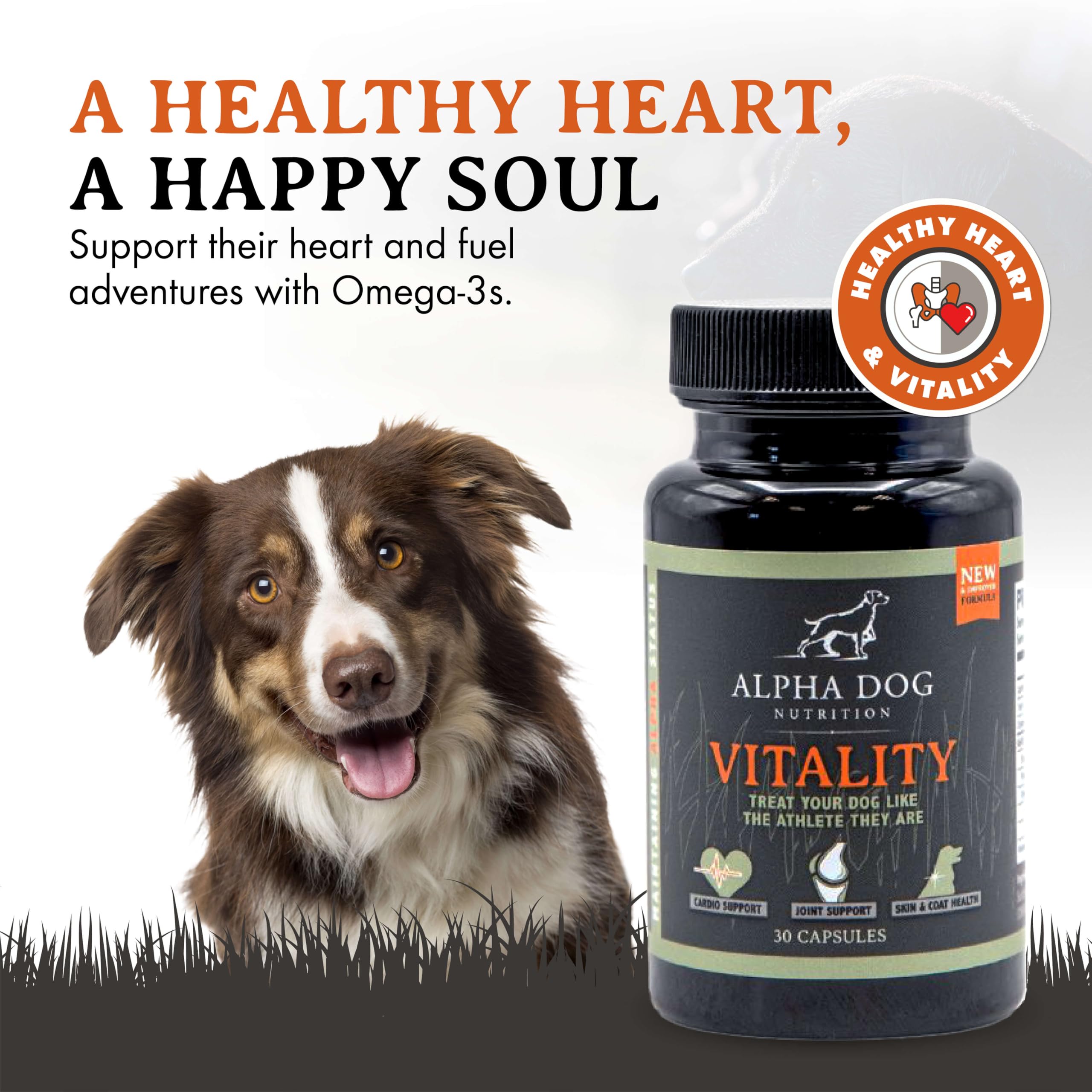 Krill Oil for Dogs - Vitality by Alpha Dog Nutrition – Reduces Dog Allergies, Itchiness, & Shedding – Promotes Healthy Skin and Coat