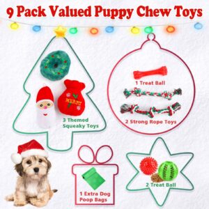 HOHOM Christmas Dog Toys, 9 Pack Luxury Puppy Chew Toy, Cotton Squeaky Plush Toys for Small Dogs, Durable Interactive Rope Treat Dog Ball and Bones, Rubber Teething Toys for Puppies Dogs