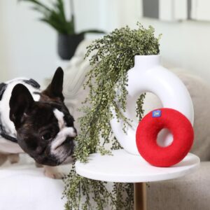 JW Wool-EE Ring Handmade 100% Wool All Natural Dog Toy for Fetch